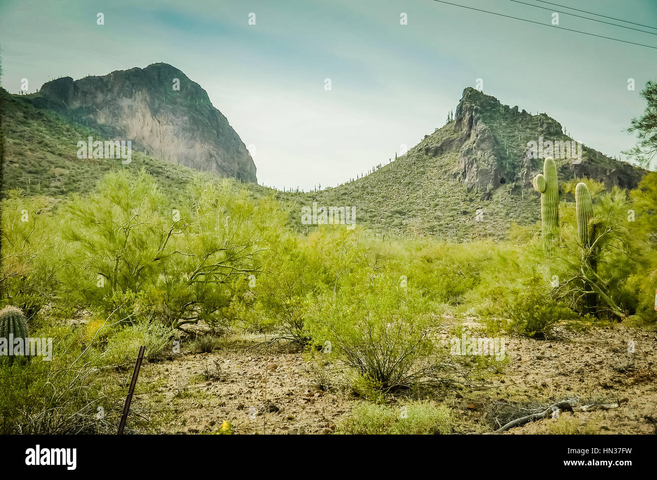Agua Caliente Park High Resolution Stock Photography and Images - Alamy