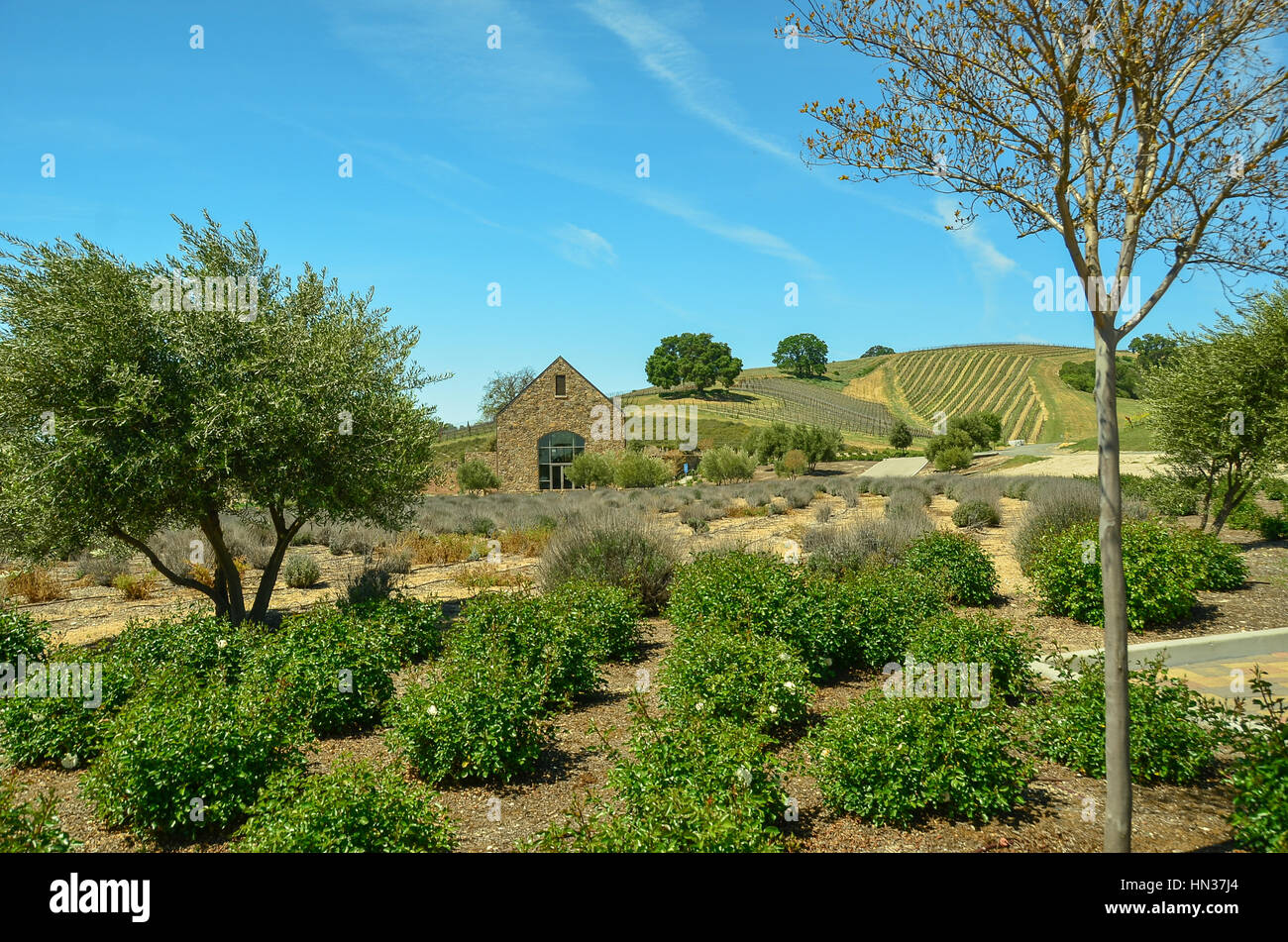 Central coast winery hi-res stock photography and images - Alamy