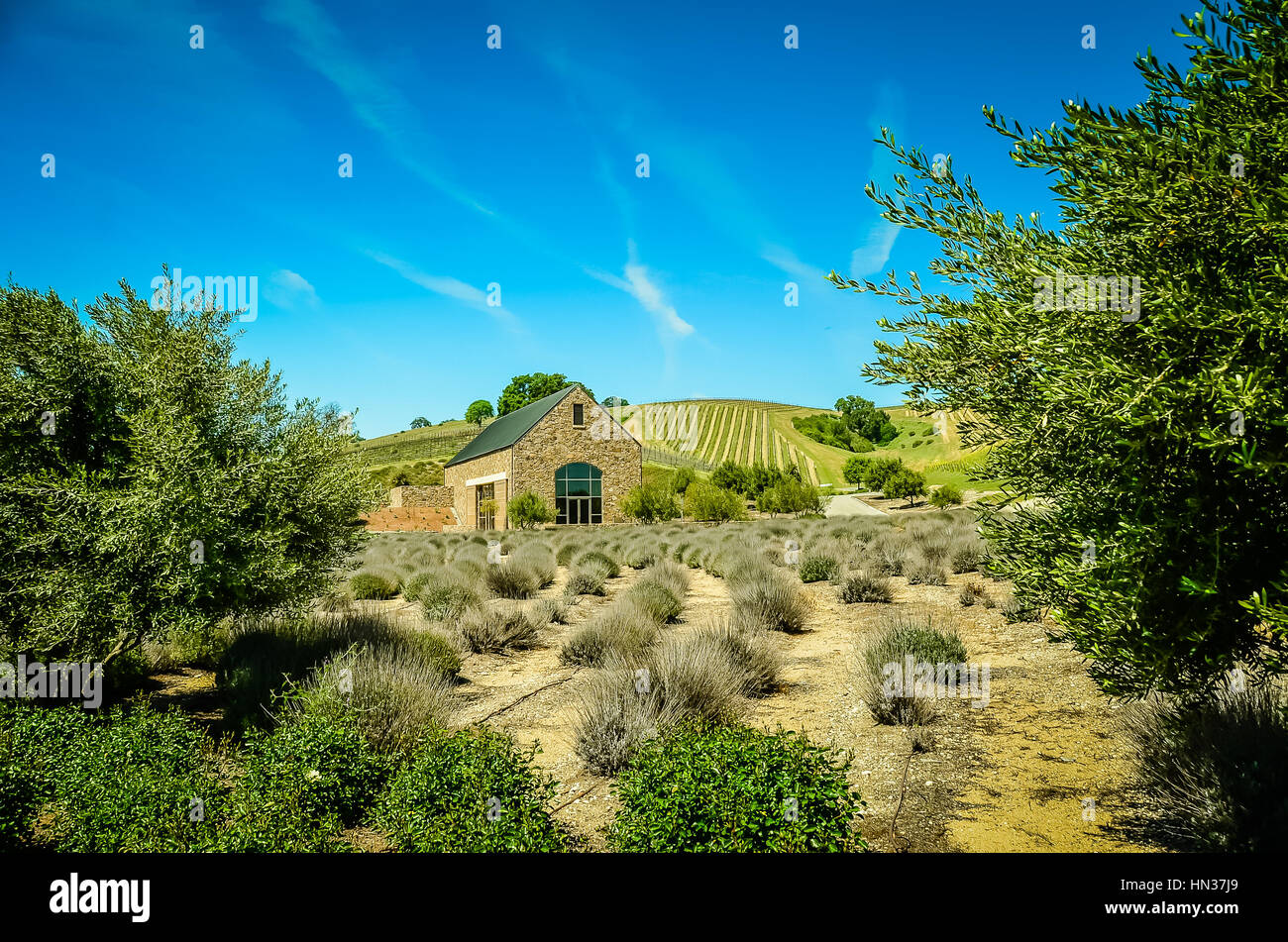 California central coast wine country hi-res stock photography and ...