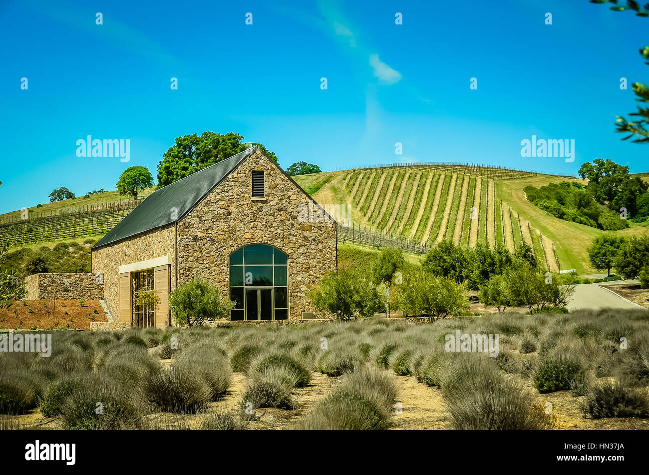 California, Central Coast Wine country Stock Photo - Alamy