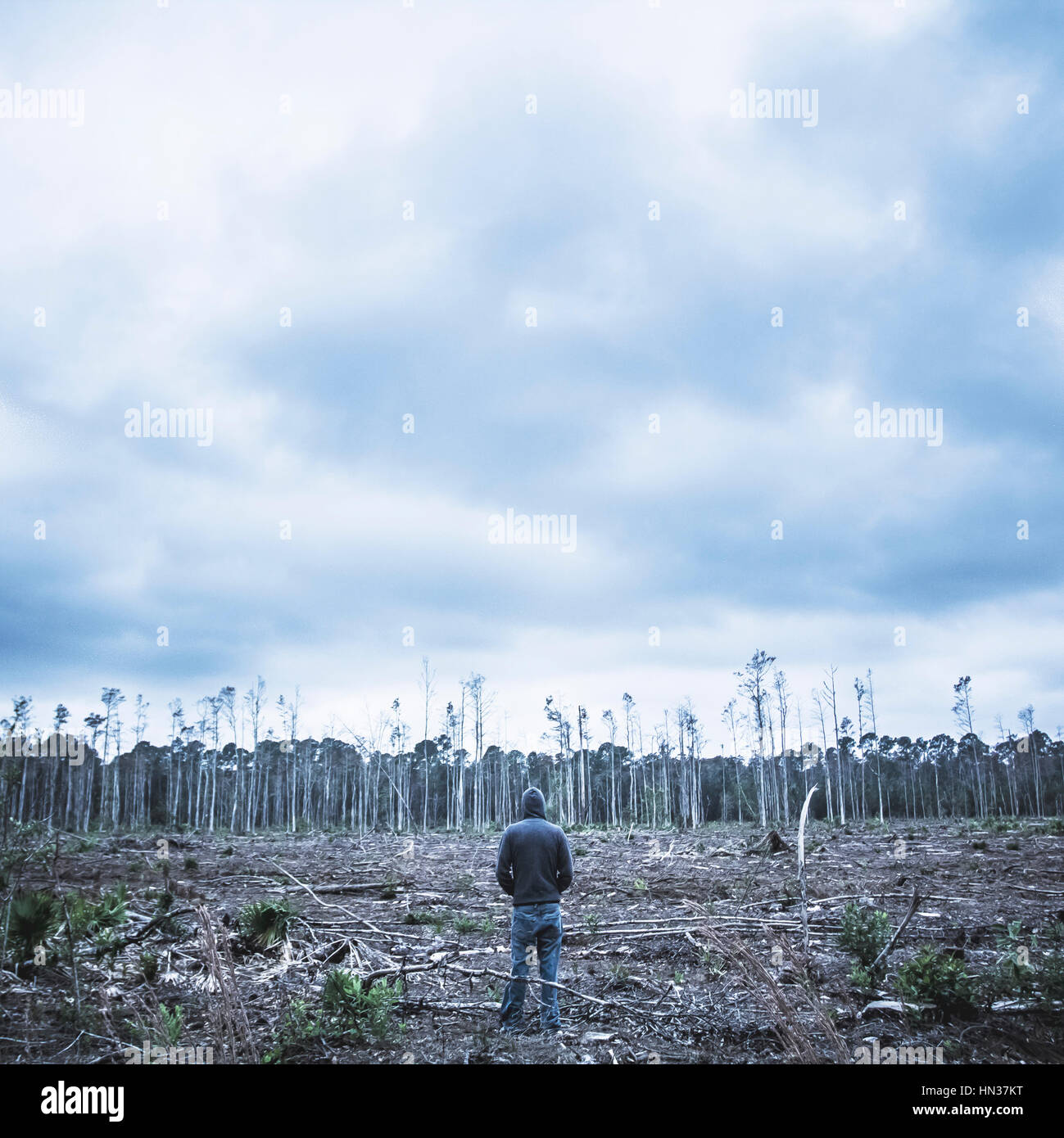 man standing alone among a scene of deforestation Stock Photo - Alamy