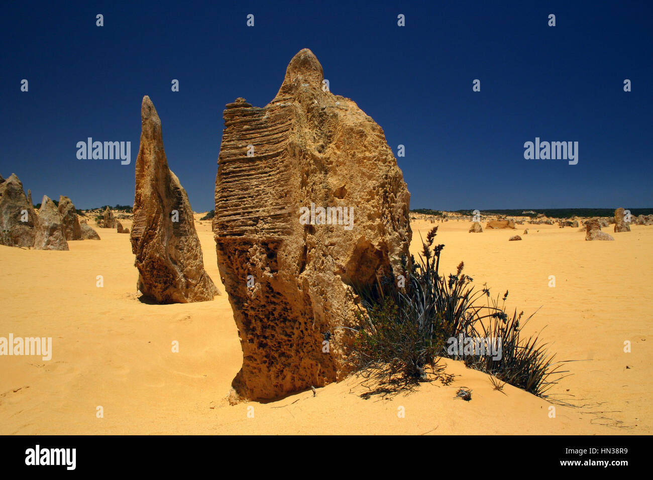 Pinnacles Desert, Western Australia Stock Photo - Alamy