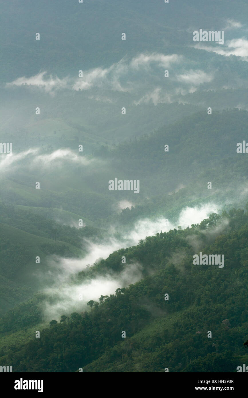 Fog flow at tropical rain forest and mountain landscape Stock Photo - Alamy