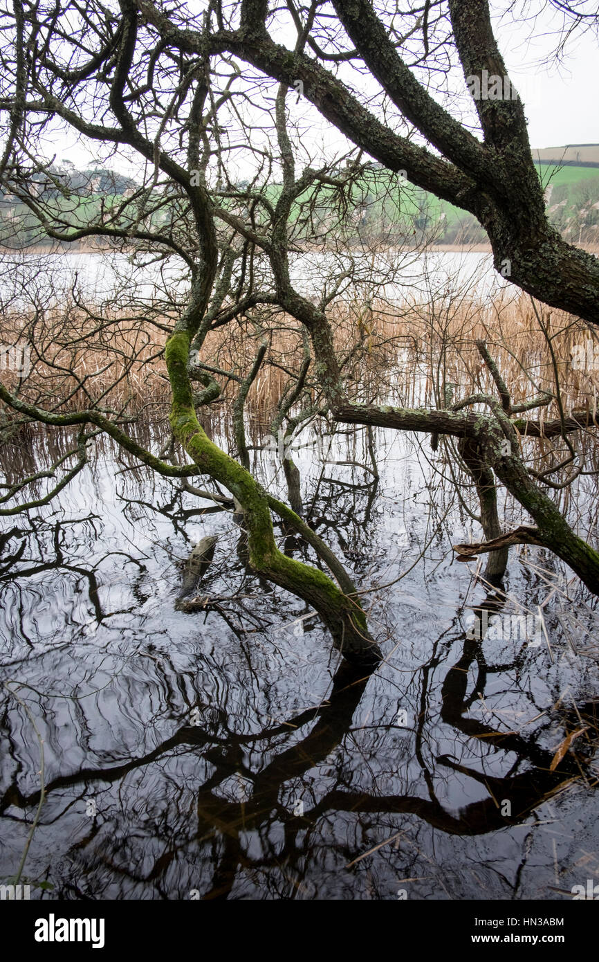 Slapton Ley in winter, south Devon Stock Photo - Alamy