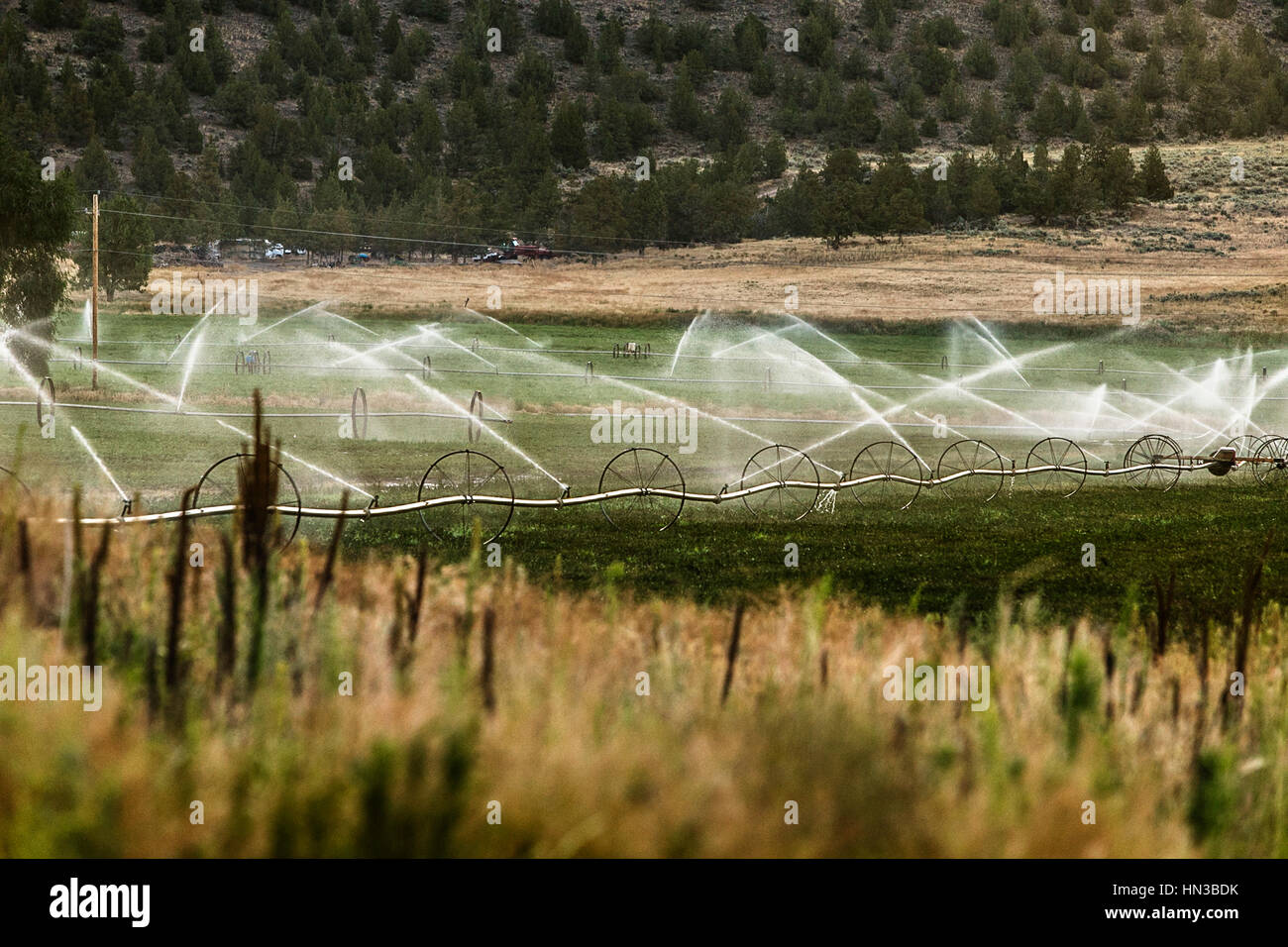Irrigation sprinklers on farm land Stock Photo - Alamy