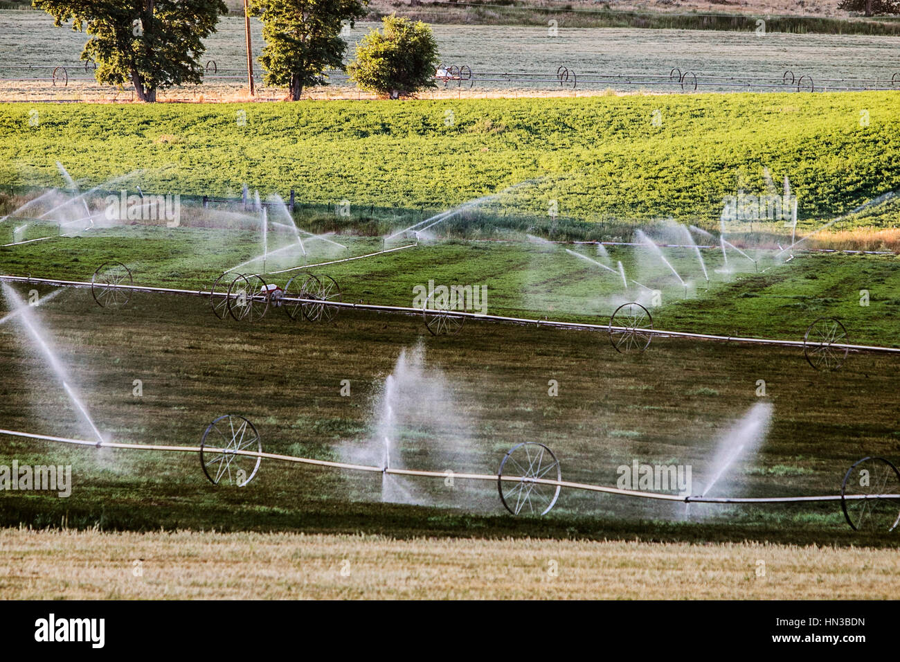 Farm land irrigation hi-res stock photography and images - Alamy