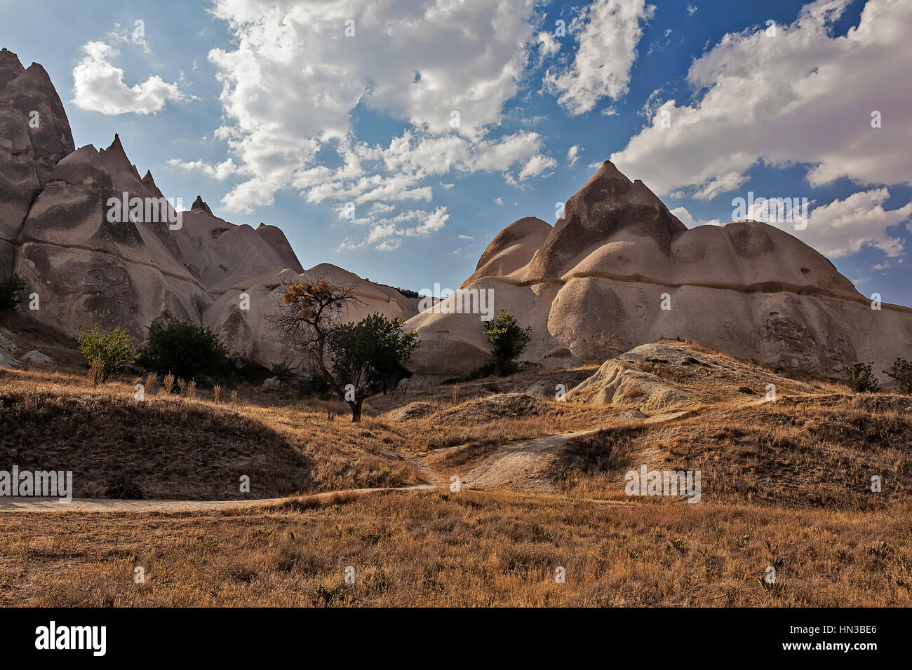 Formation of stone pillars in the desert Stock Photo - Alamy