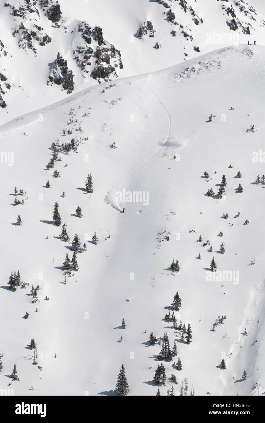 A Snowboarder Descending A Fresh Powder Run At Timberline In The San ...