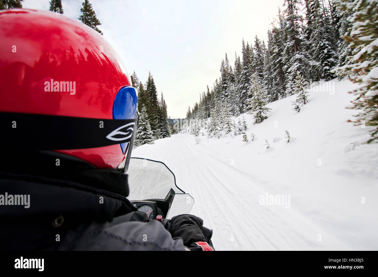 Snowmobiling A Road In The Snow Covered Mountains Of Vail, Colorado ...
