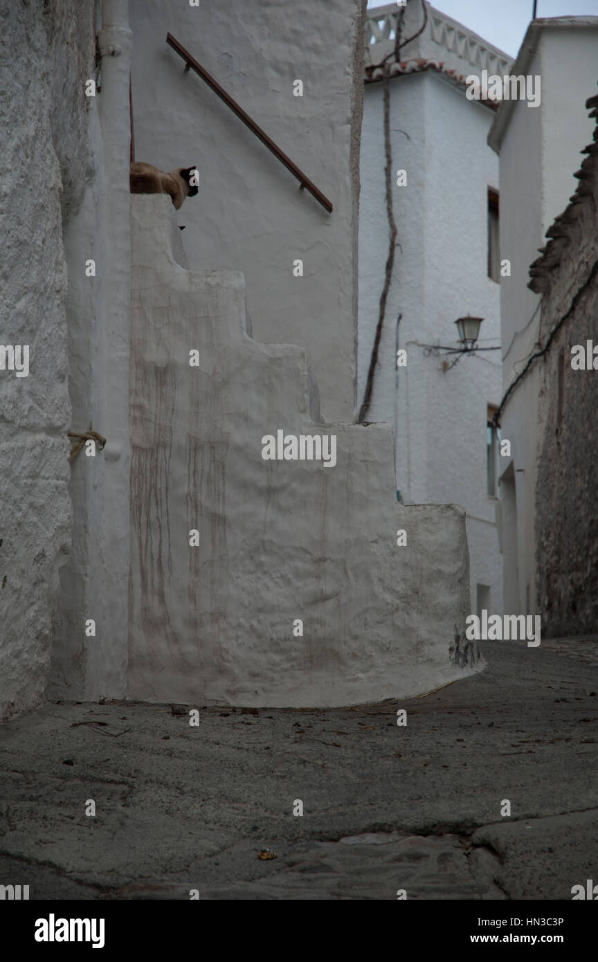 Canar spain andalucia hi-res stock photography and images - Alamy