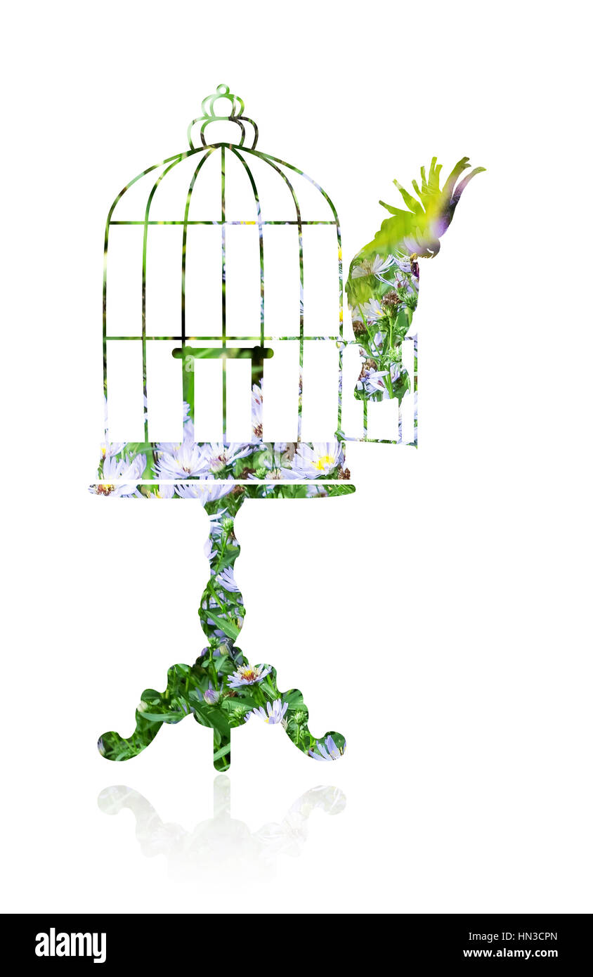 J double Cut Out Stock Images & Pictures - Alamy