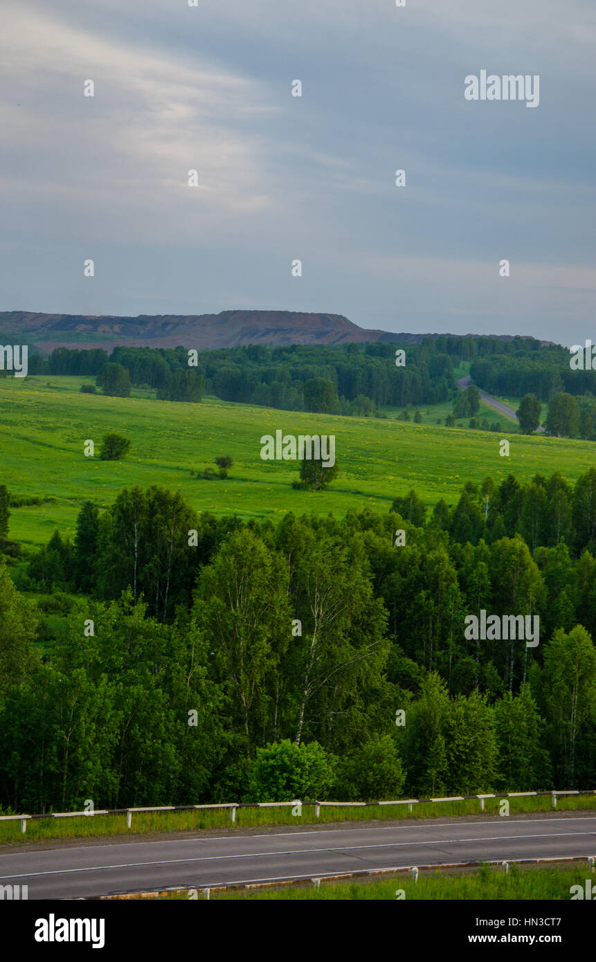 Summer crimson sunset. sky crimson. maroon clouds on sunset. green ...