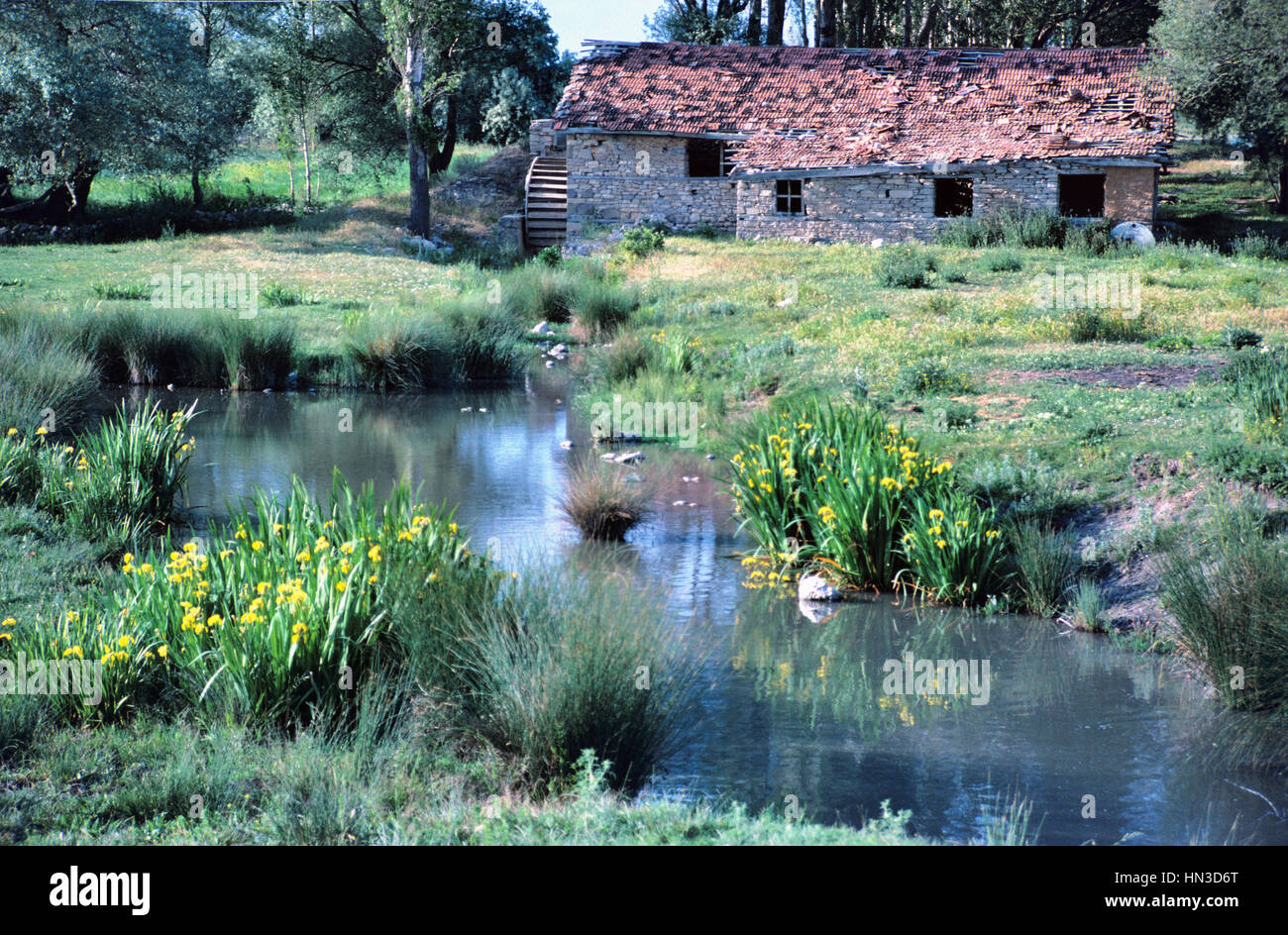 Turkey mill hi-res stock photography and images - Alamy