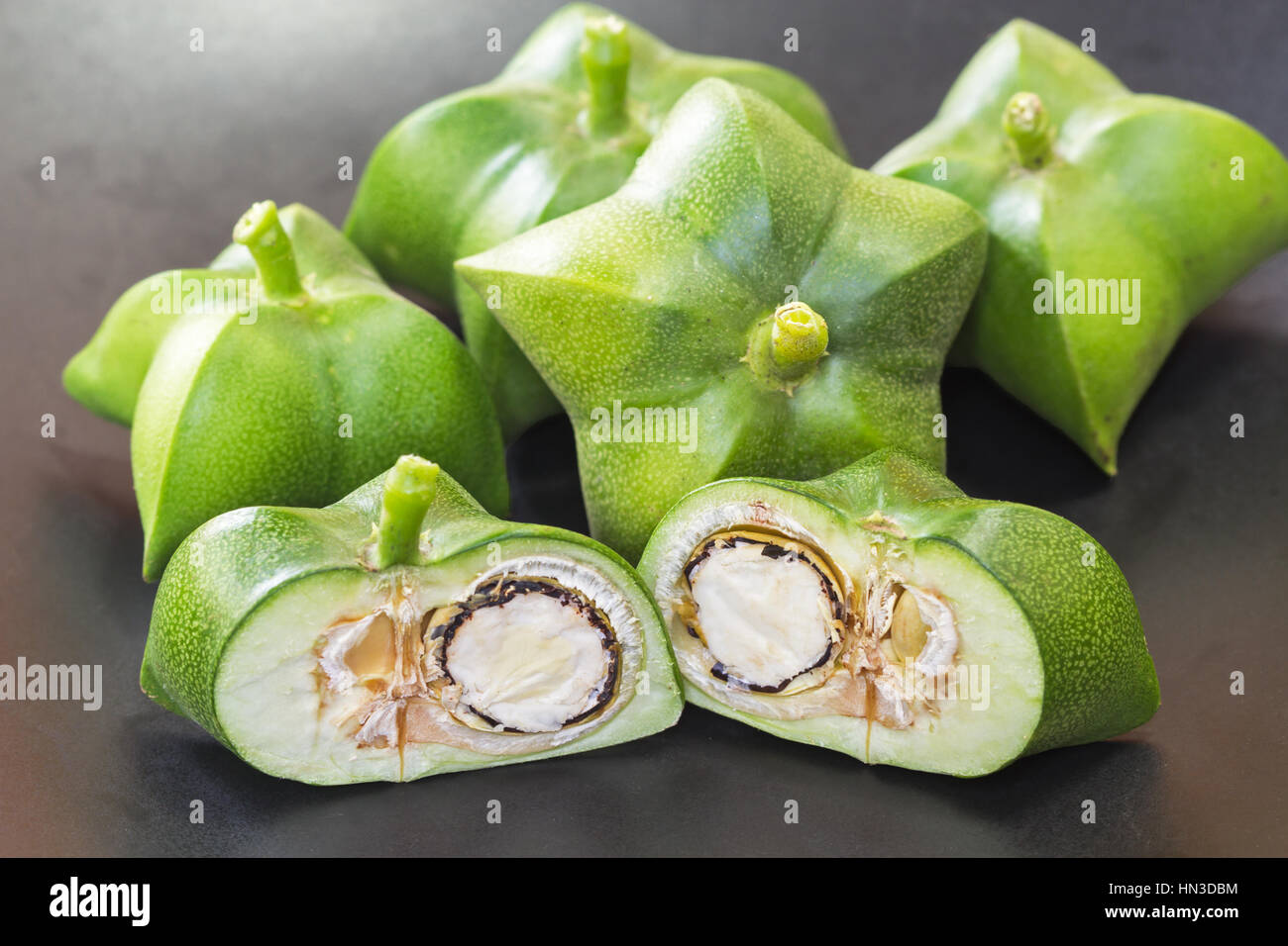 Plukenetia volubilis, sacha inchi, sacha peanut, mountain peanut, Inca ...