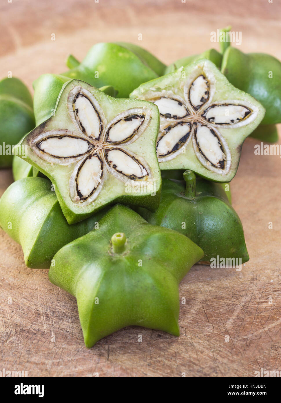 Plukenetia volubilis, sacha inchi, sacha peanut, mountain peanut, Inca ...