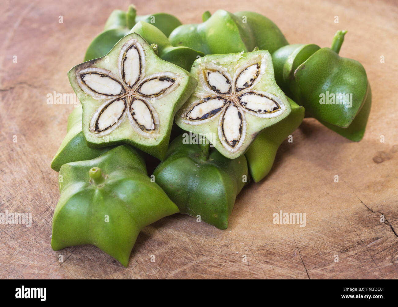 Plukenetia volubilis, sacha inchi, sacha peanut, mountain peanut, Inca ...