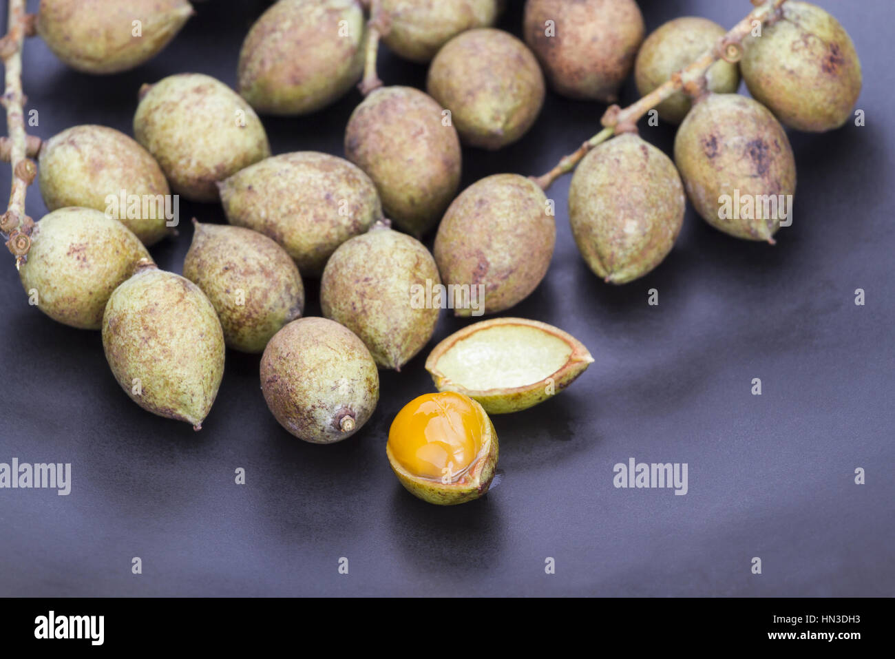 Ceylon oak fruit on black dish - Scientific Name is "Schleichera oleosa ...