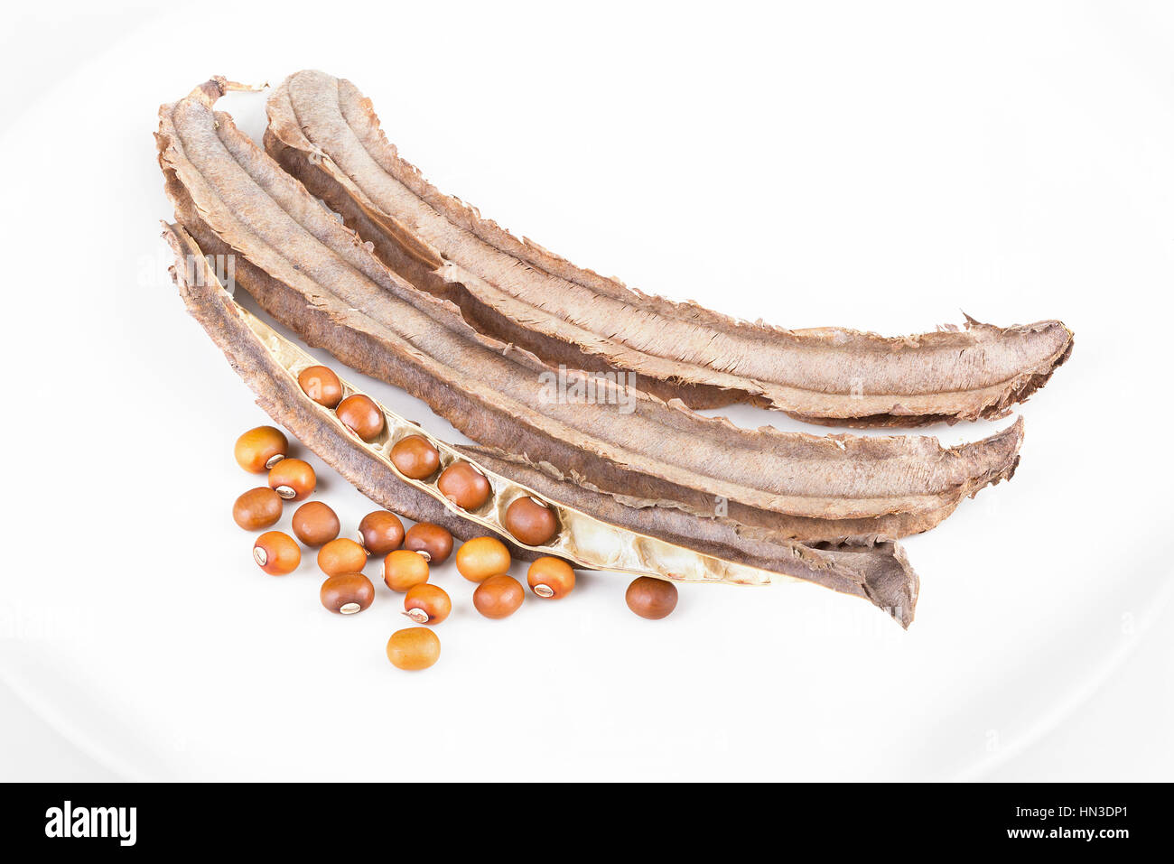 dried Winged Bean seed and bean pod on white dish Stock Photo - Alamy