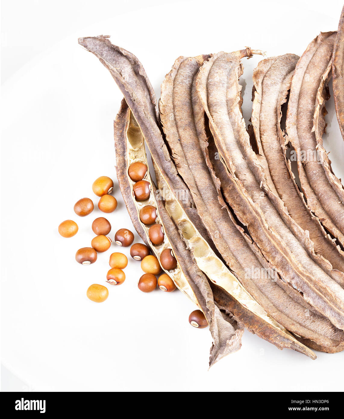 Winged bean pod hi-res stock photography and images - Alamy