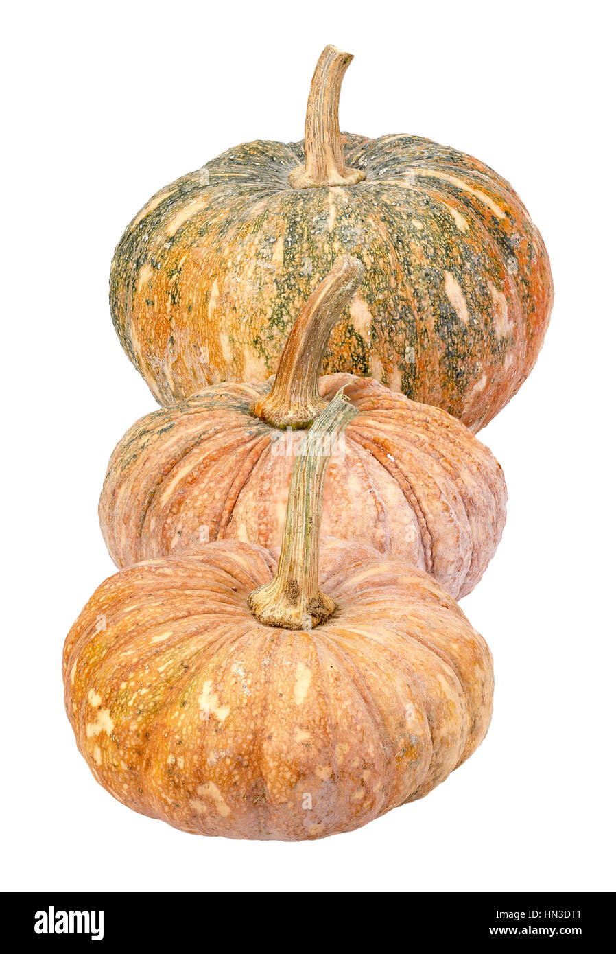 Ripe pumpkin cucurbita moschata Cut Out Stock Images & Pictures - Alamy