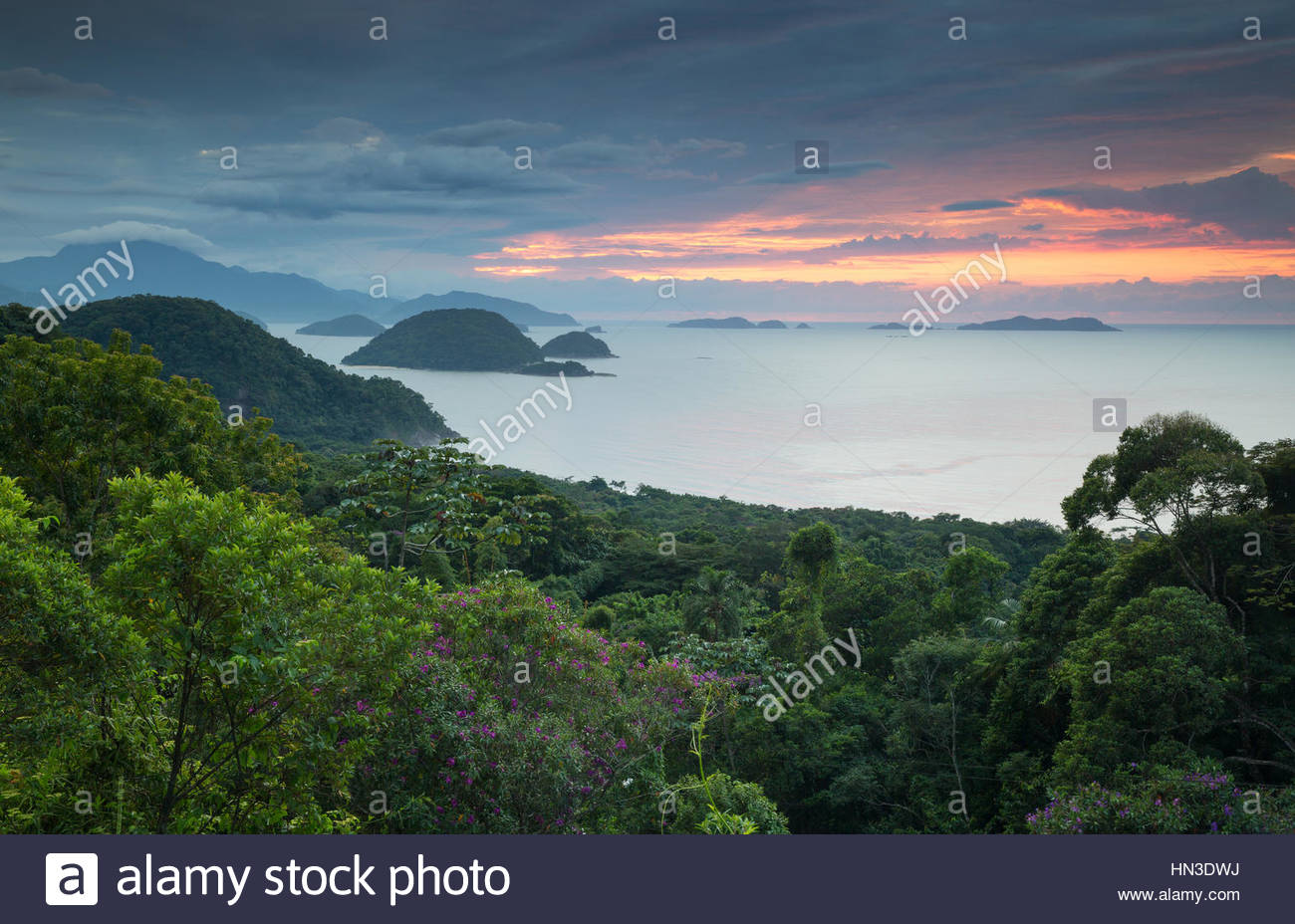 Atlantic Forest And Sao Paulo Stock Photos & Atlantic Forest And Sao ...