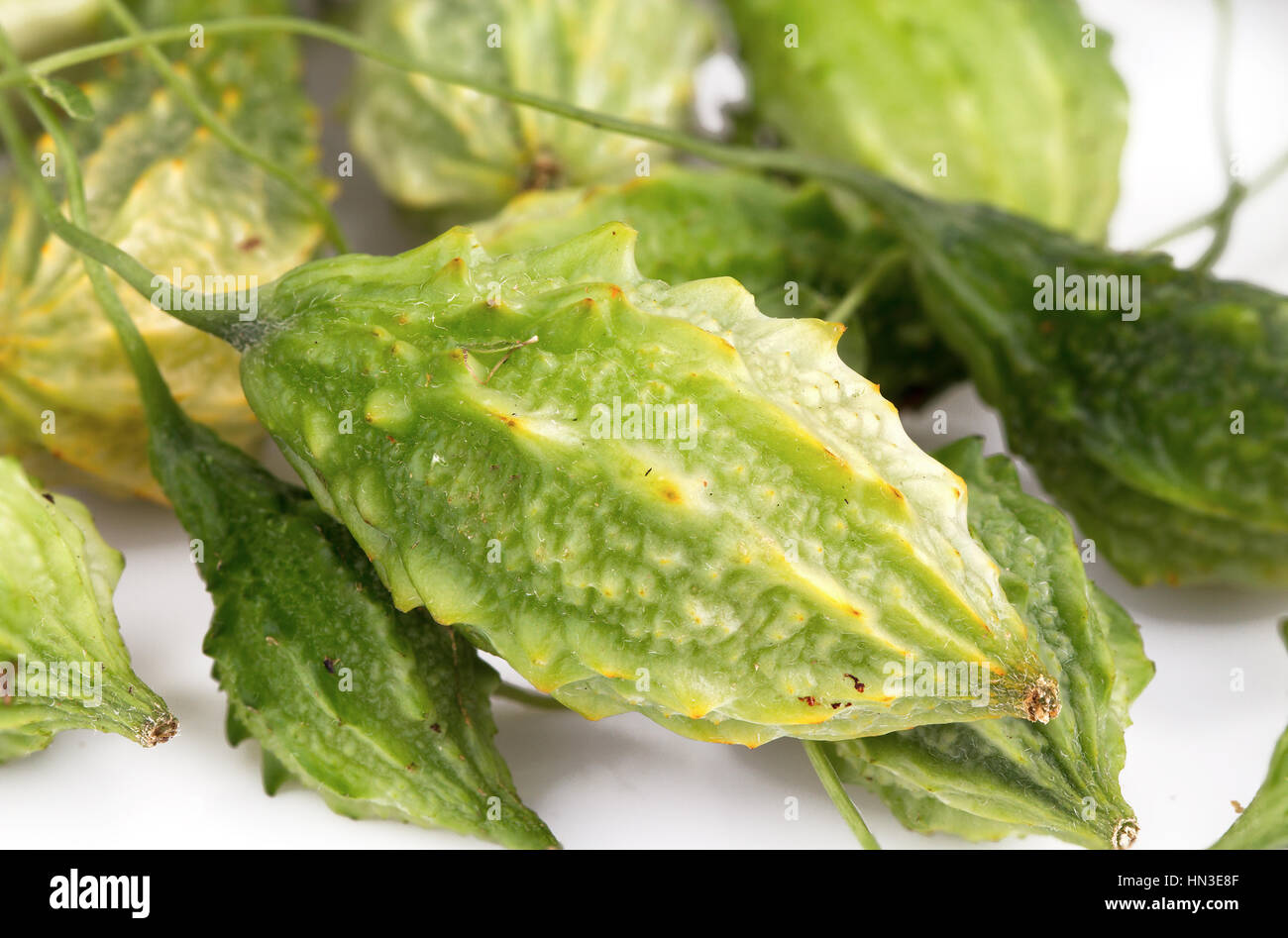 Wild Bitter Gourd on white background Stock Photo - Alamy