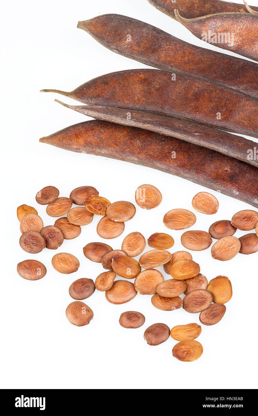 Bauhinia purpurea Linn.-seed and pod on white background Stock Photo ...