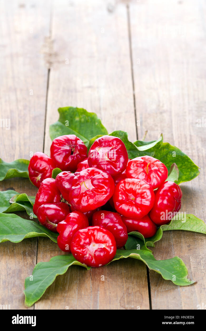 Rose apple scientific name is Syzygium Jambos 'Plastic Daeng' Myrtaceae ...