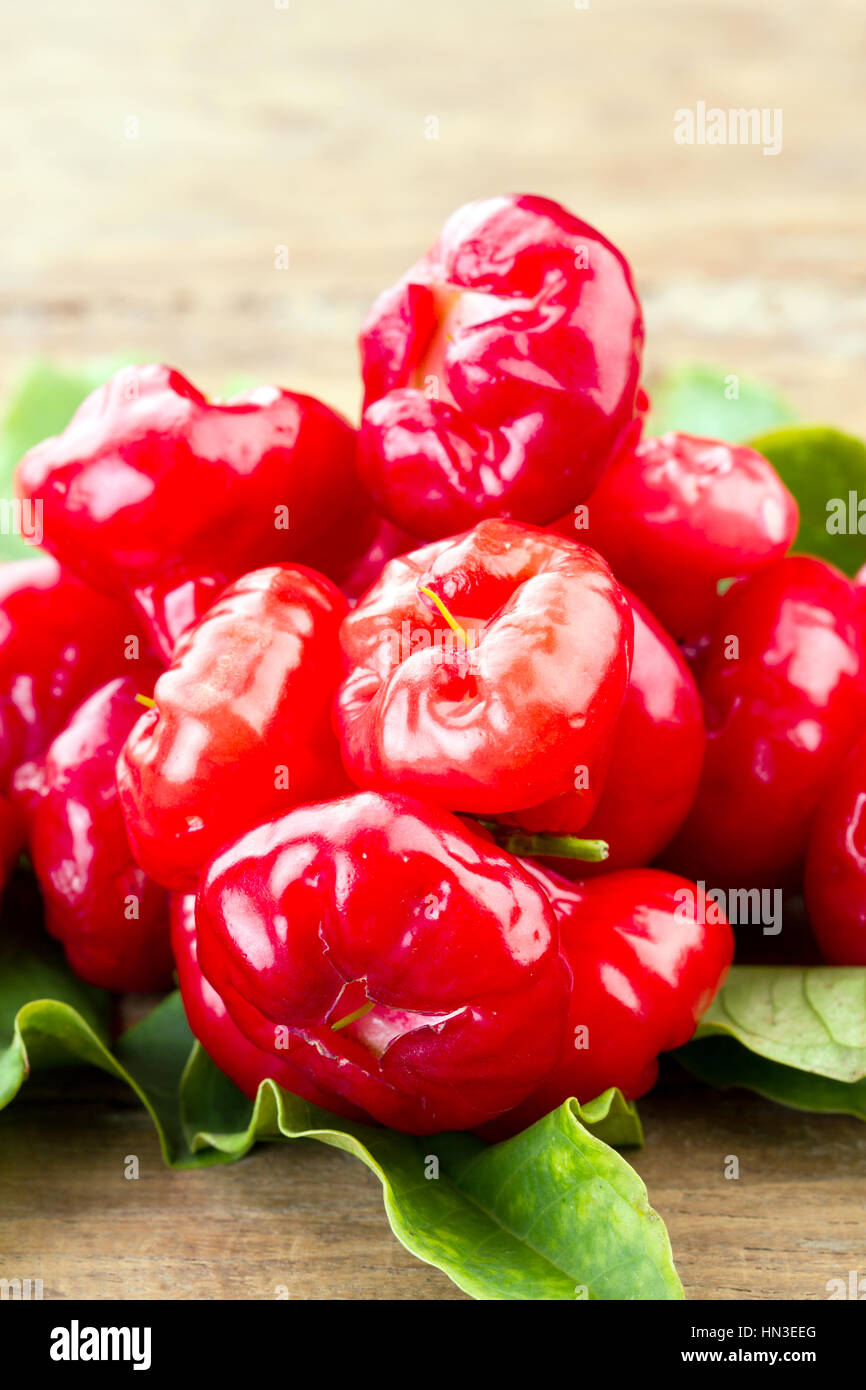 Rose apple scientific name is Syzygium Jambos 'Plastic Daeng' Myrtaceae ...