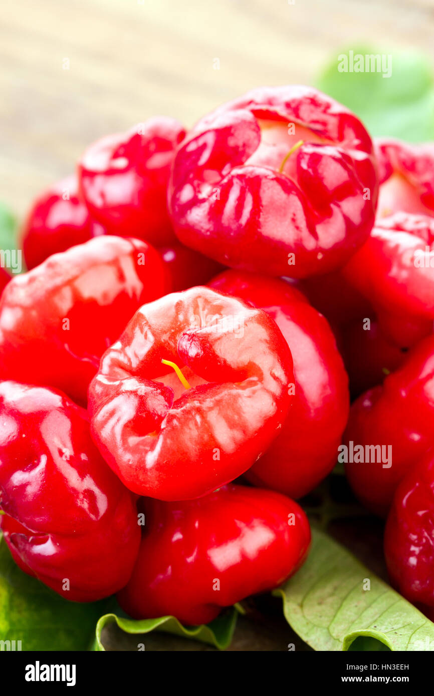 Rose apple scientific name is Syzygium Jambos 'Plastic Daeng' Myrtaceae ...