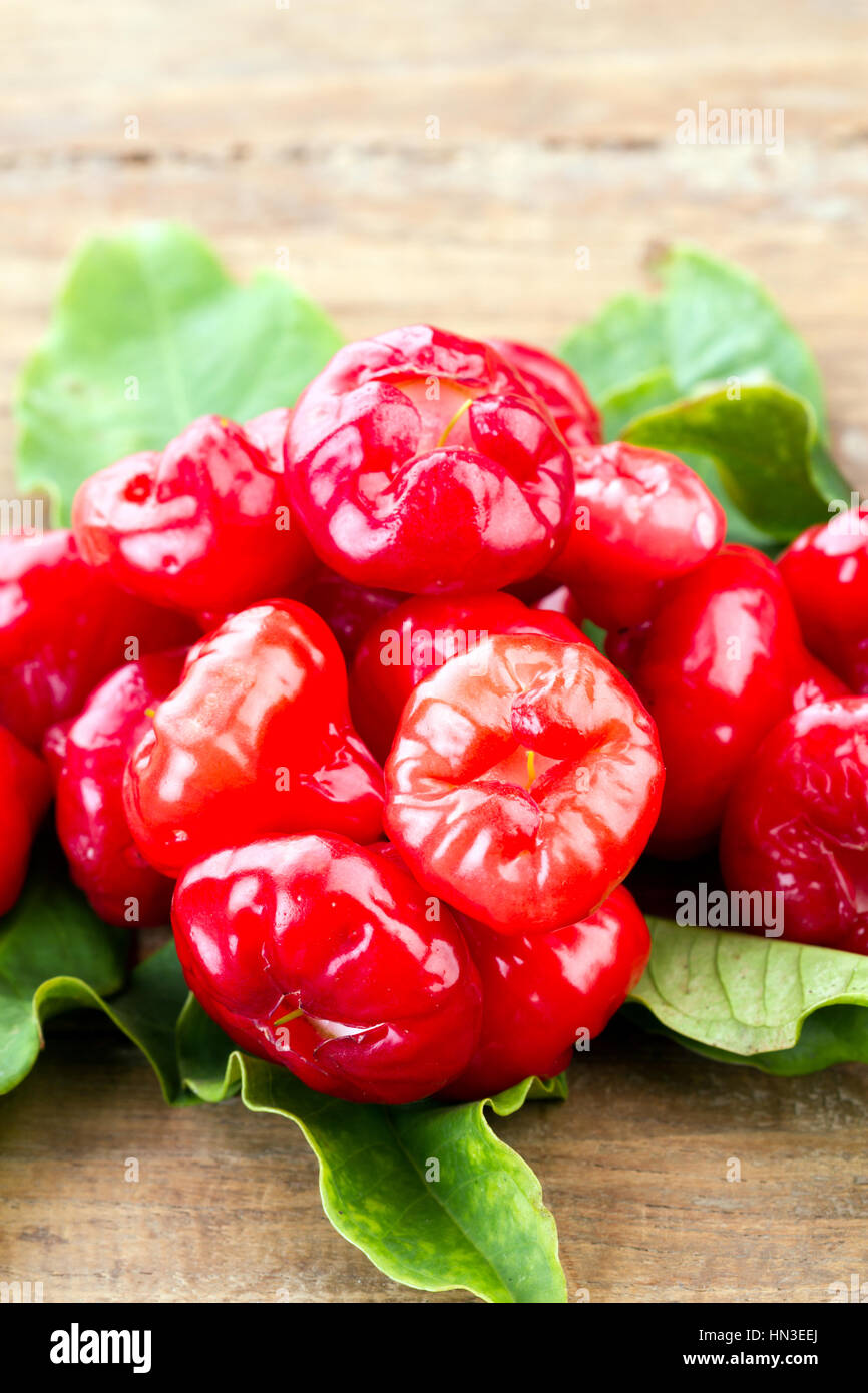 Rose apple scientific name is Syzygium Jambos 'Plastic Daeng' Myrtaceae ...