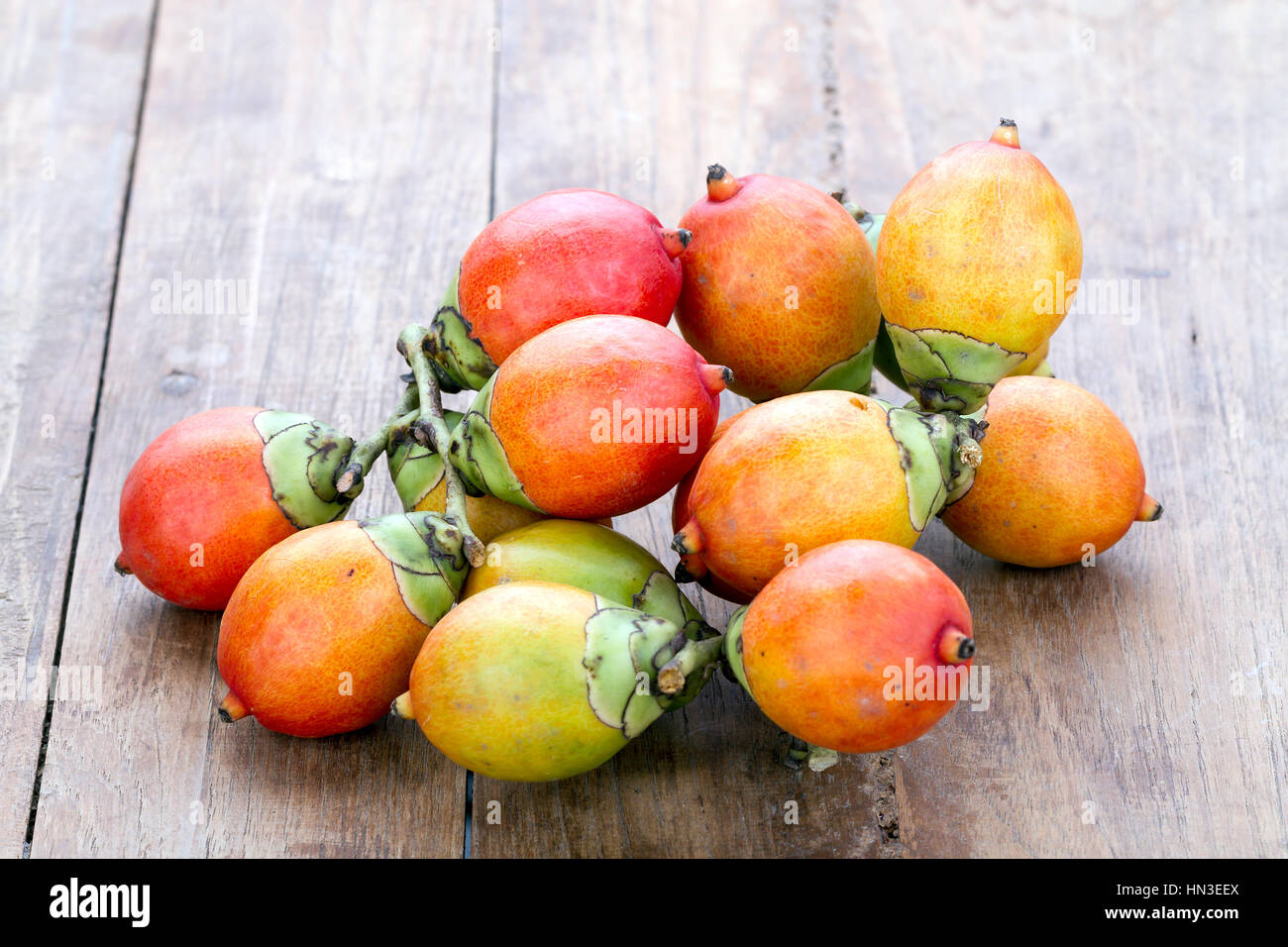 Beautiful royal palm seed fruit hi-res stock photography and images - Alamy