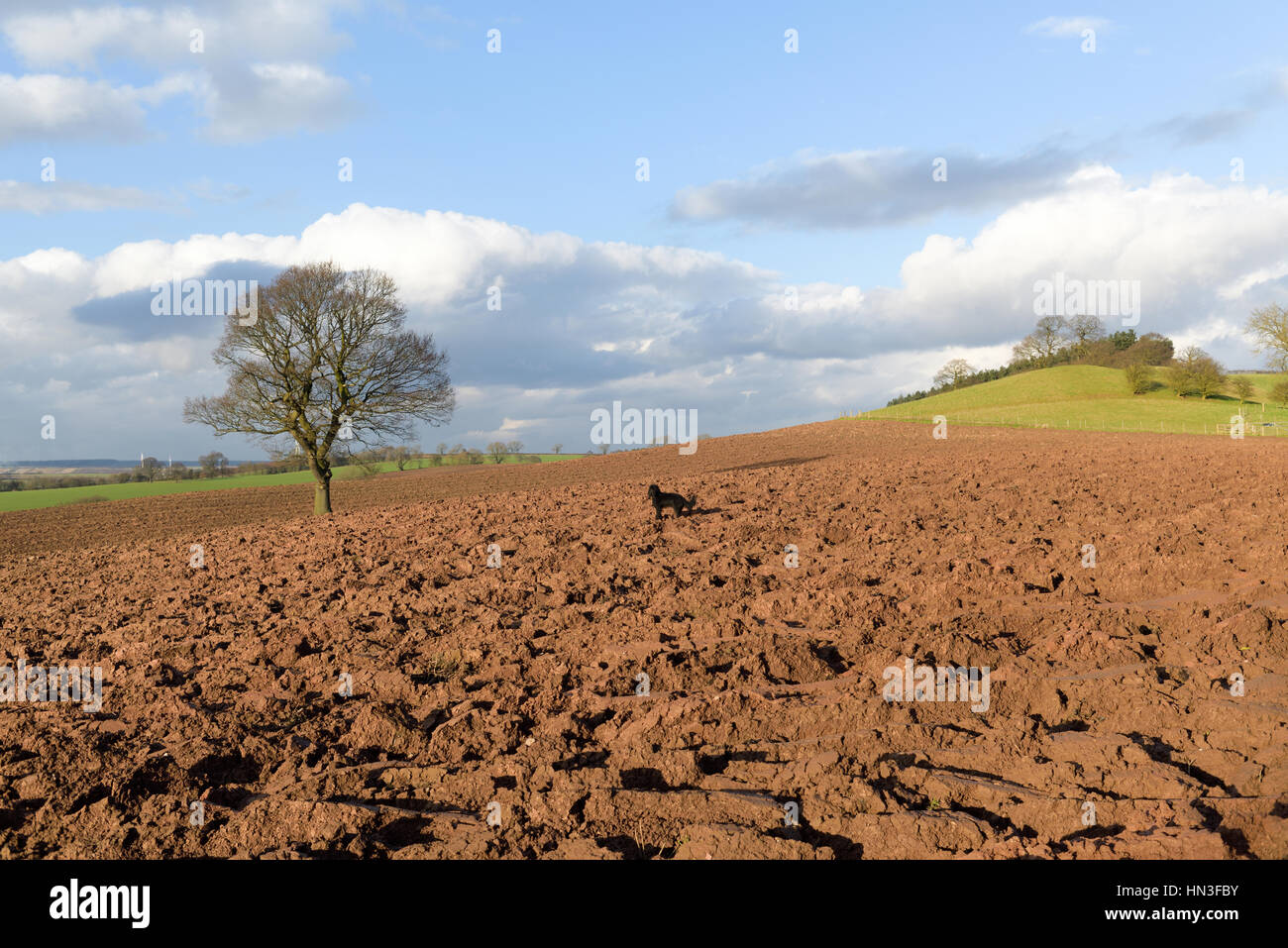 Oxton nottinghamshire hi-res stock photography and images - Alamy