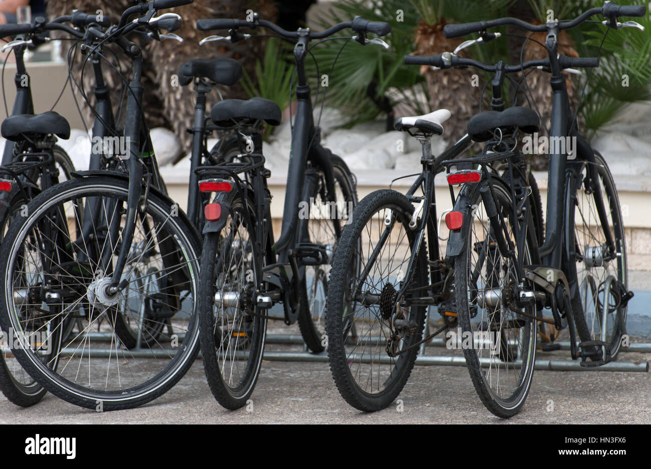 Bicycles on the street. Bike rental service Stock Photo - Alamy