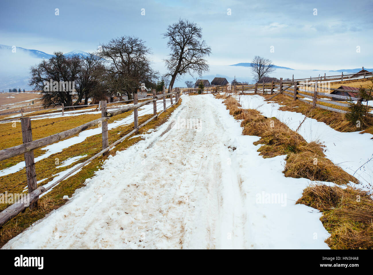 the beginning of spring in the mountains Stock Photo - Alamy