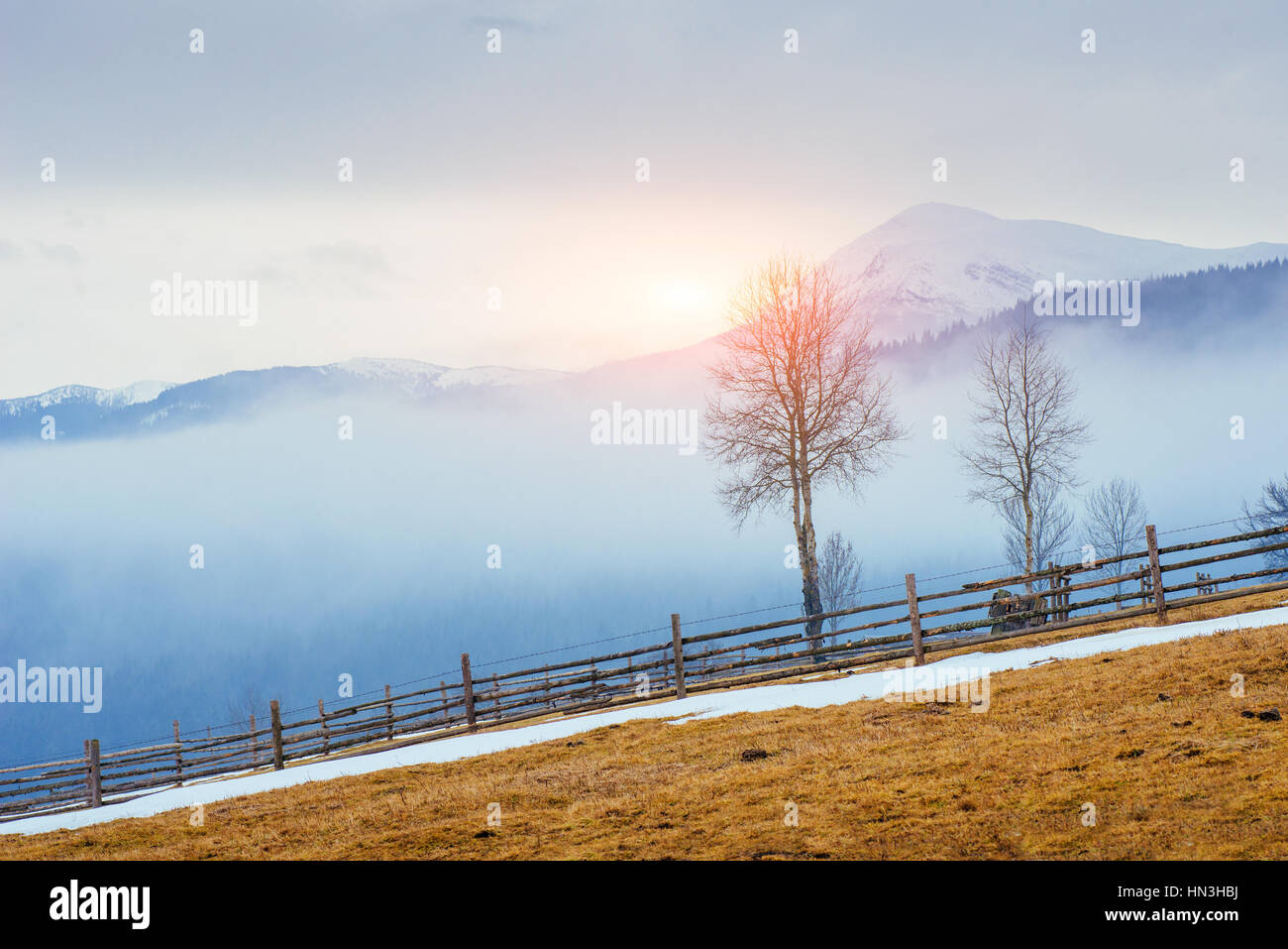 the beginning of spring in the mountains Stock Photo - Alamy