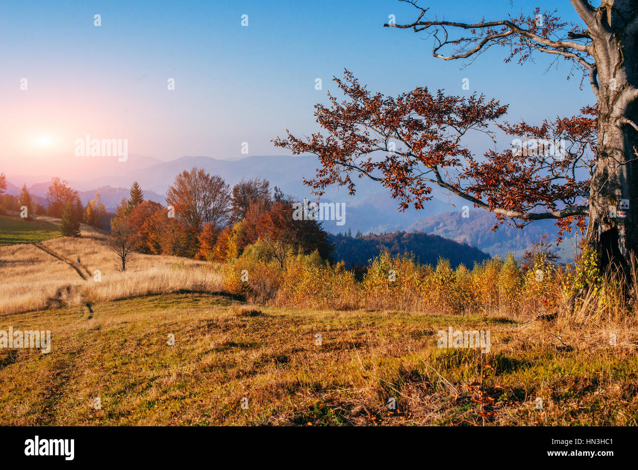 Scenic Autumn Landscape Stock Photo - Alamy