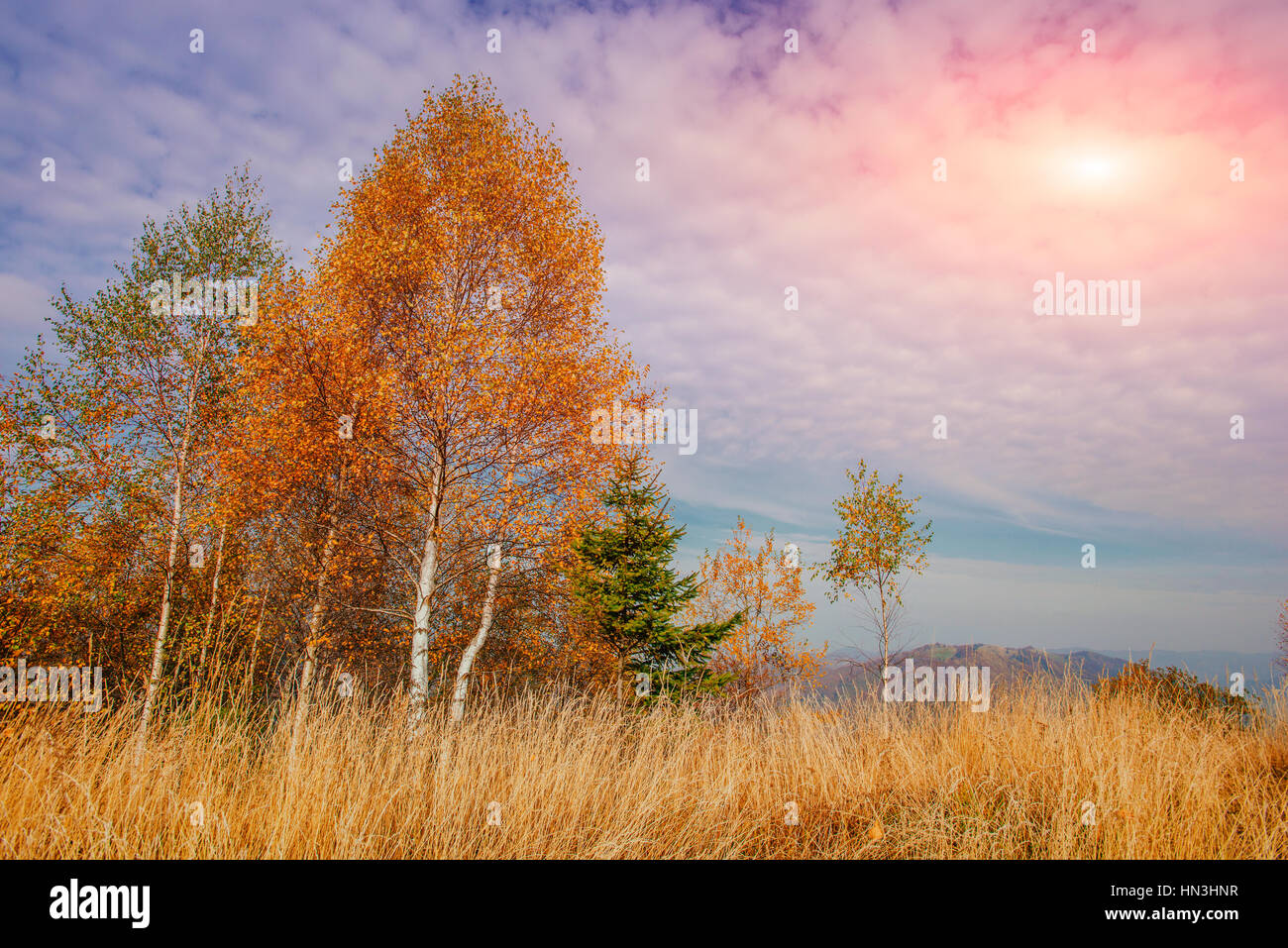 Scenic Autumn Landscape Stock Photo - Alamy