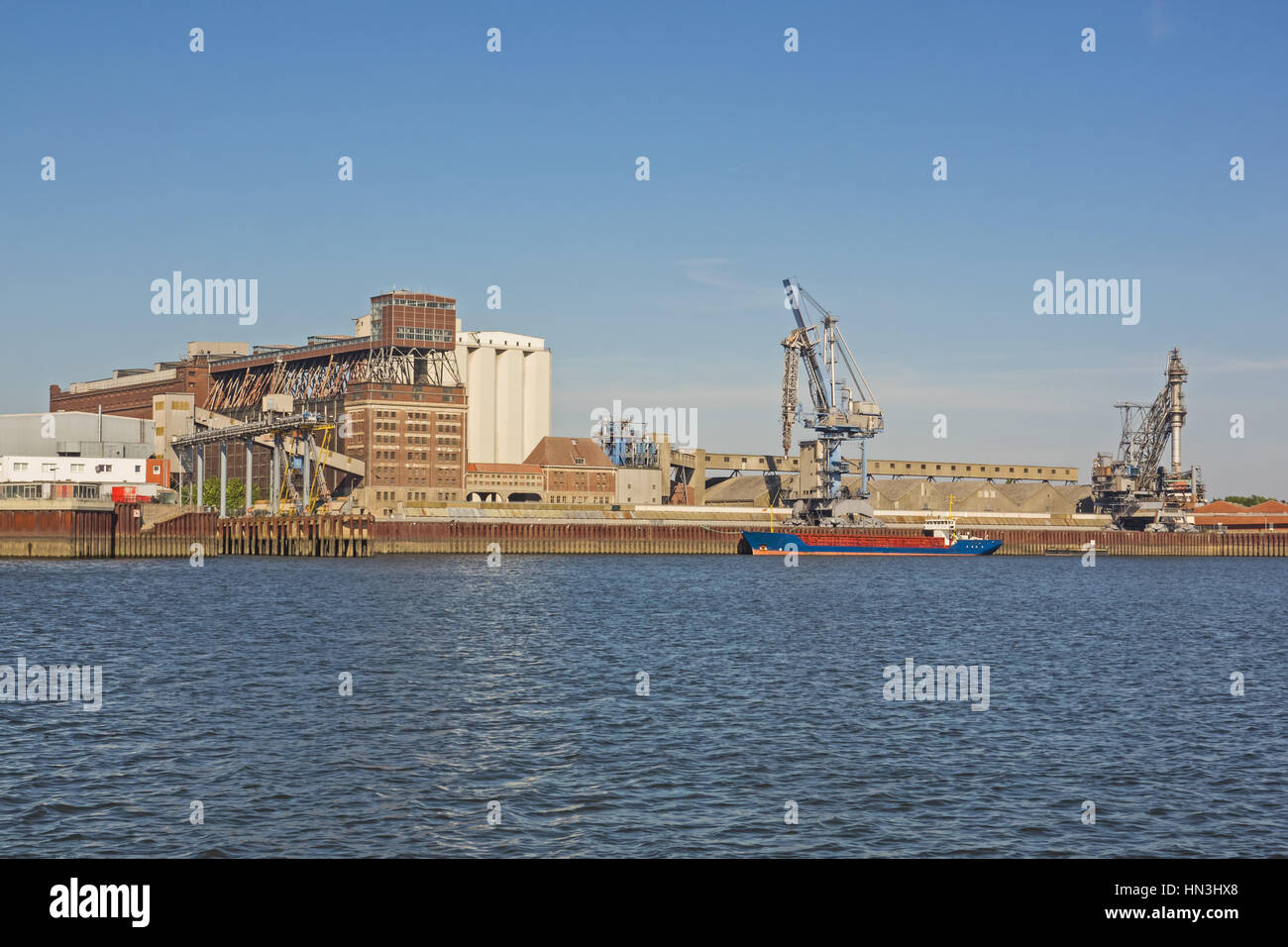 Grain plant historical hi-res stock photography and images - Alamy