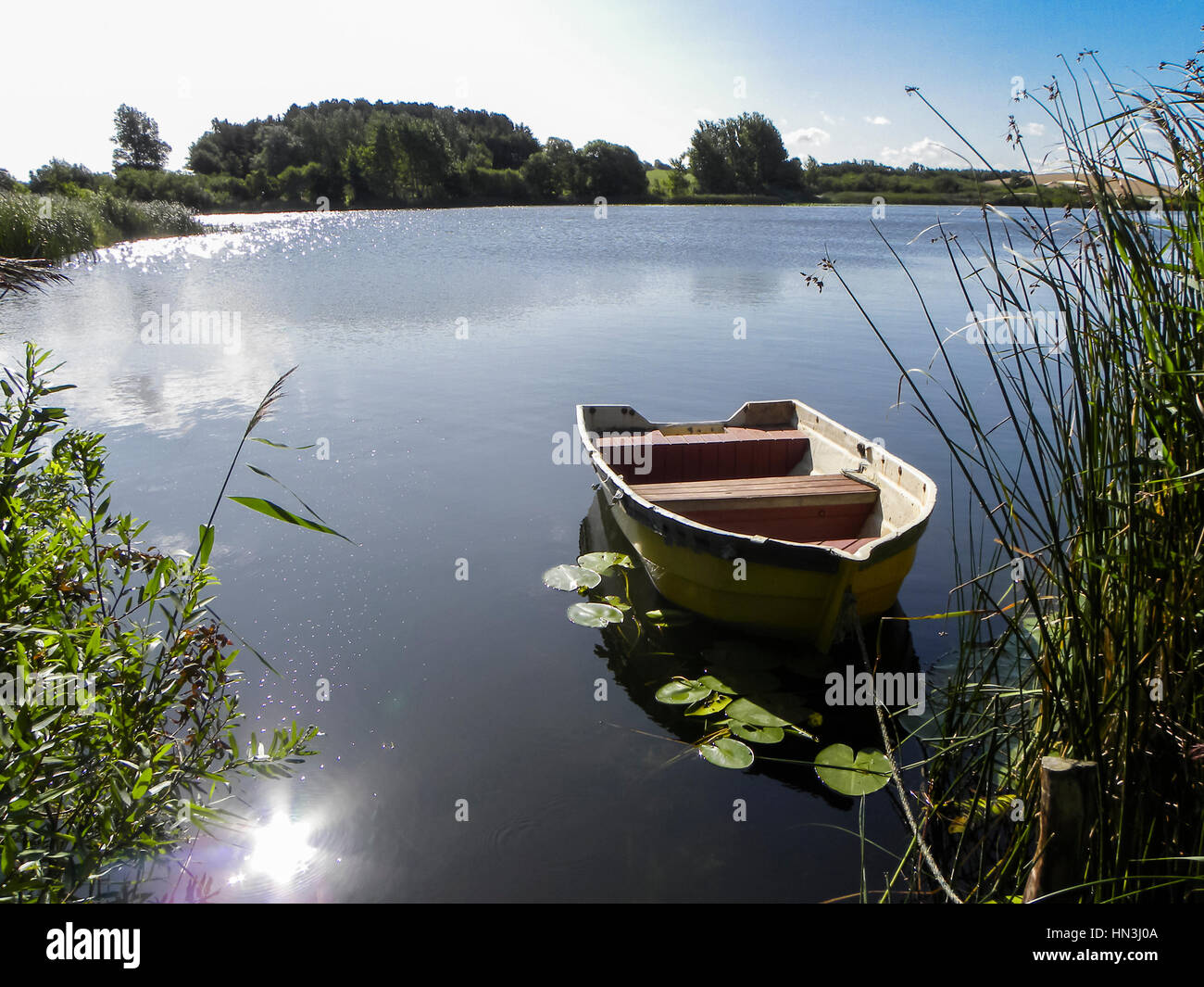 Small wooden rowing boat on pond between reeds and surrounded by ...