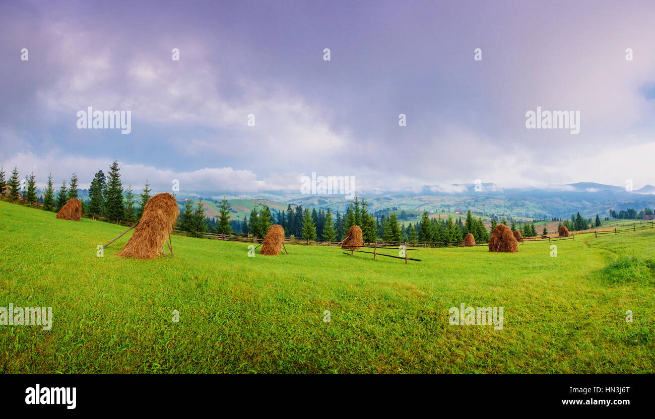 Beautiful sunny day is in mountain landscape Stock Photo - Alamy