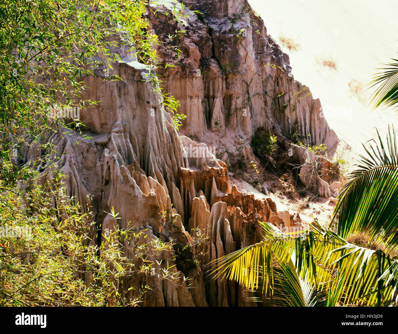 green landscape with palms and white sand rocks, fairy stream vi Stock ...