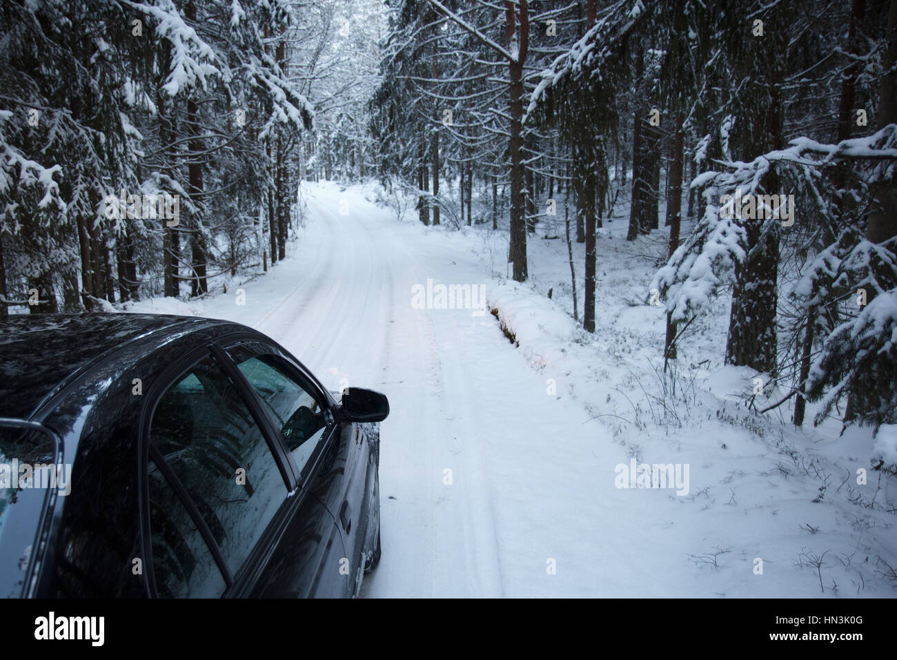 Winter forest driving Stock Photo - Alamy