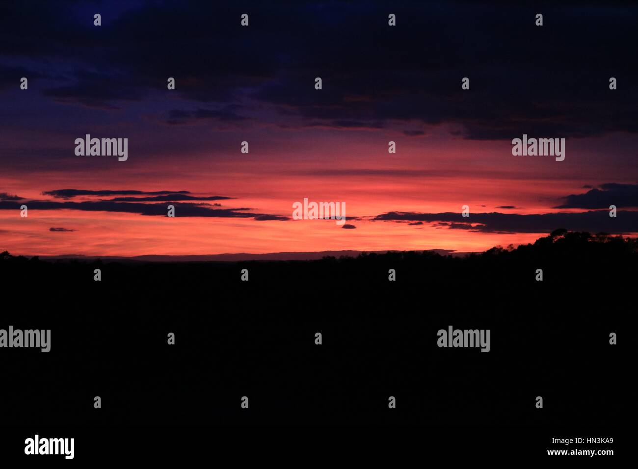 Shutter speed low hi-res stock photography and images - Alamy