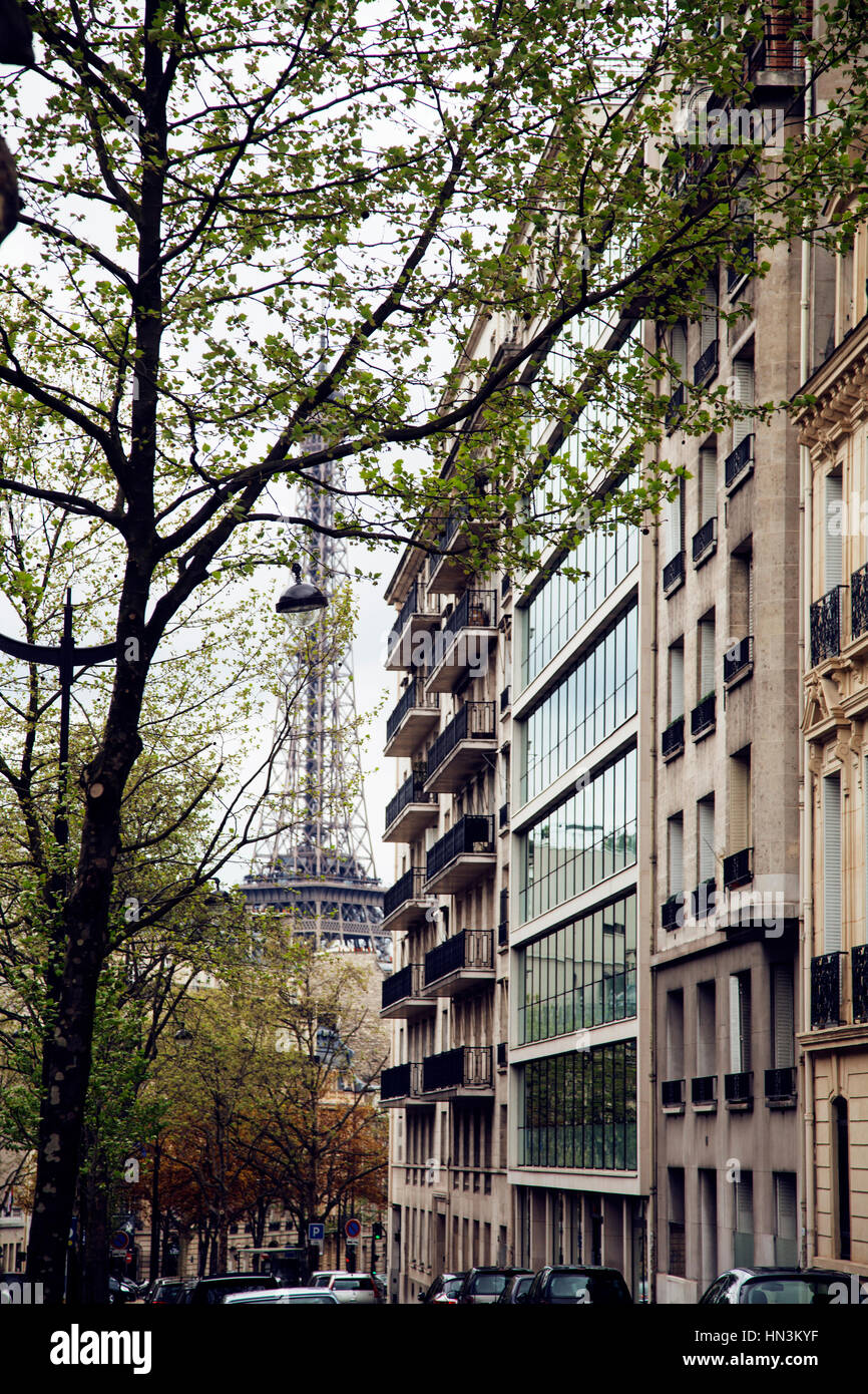 french paris street with Eiffel Tower in perspective trought trees ...