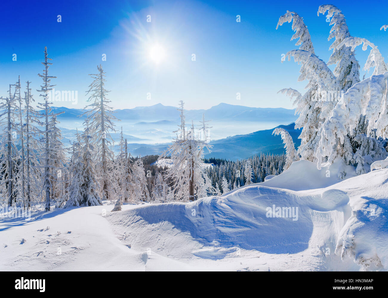 magical winter snow covered tree Stock Photo - Alamy
