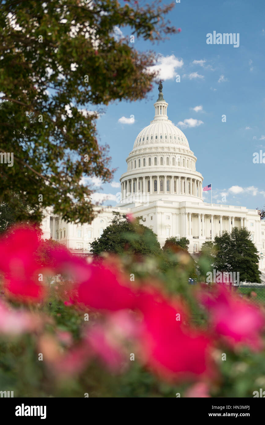 Flowers of the united states hi-res stock photography and images - Alamy