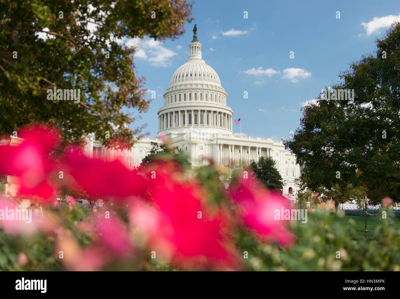 Flowers of the united states hi-res stock photography and images - Alamy