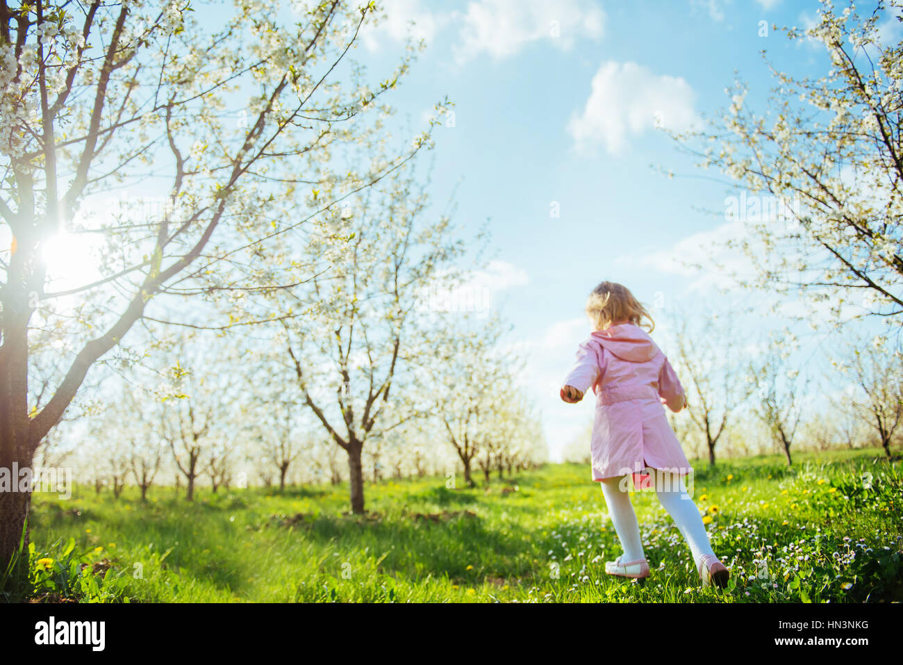 child running outdoors blossom trees. Art processing and retouch Stock ...