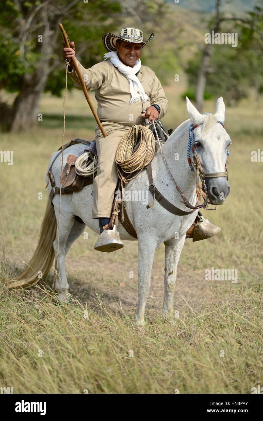 Portrait of a Colombian cowboy on Horse, Equus caballus Stock Photo - Alamy